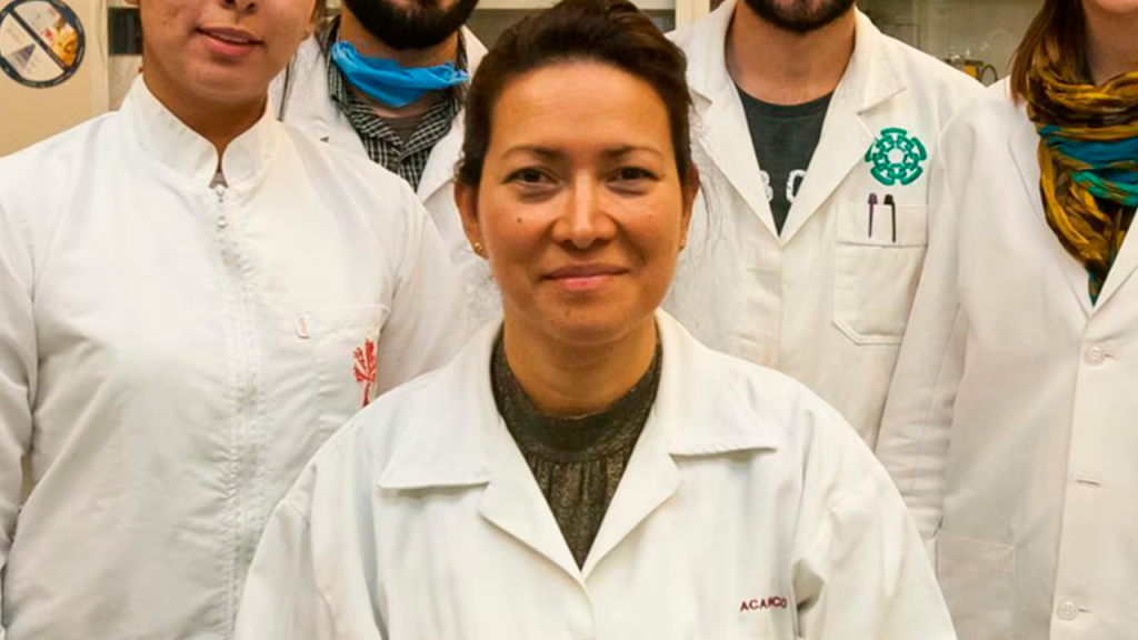 Investigadora del IPN desarrolla terapia que elimina el VPH y previene ...